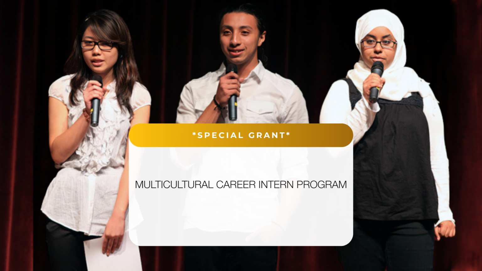 Multicultural Career Intern Program – Rotary Foundation of Washington DC